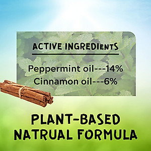 NatShield Rodent Repellent (Pack of 10), Strength Natural Mice Repellent Pouches, Botanical Pest Control Indoor, Cinnamon/Peppermint Oil to Repel Mice and Rats in Shed/Attic/Cabin/RV/Boat/Garage