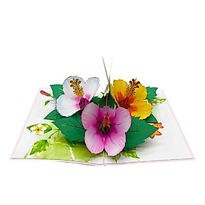 ETA 3D Hibiscus and Green Hummingbird Pop Up Greeting Card for Birthday, Just Because, Thinking of You, Retirement, Get Well, Congratulations, Any Occasions, F38