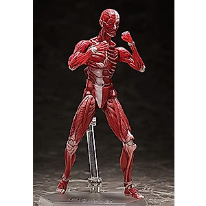 FREEing Human Anatomical Model Figma Action Figure,Multicolor