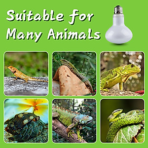 Jugbuy Reptile Heat Lamp Bulb, 100 Watt UVA Daylight Basking Spot Light for Bearded Dragon, Turtle, Lizard, Snake, Tortoise, Chameleon, Amphibians - 2 Pack