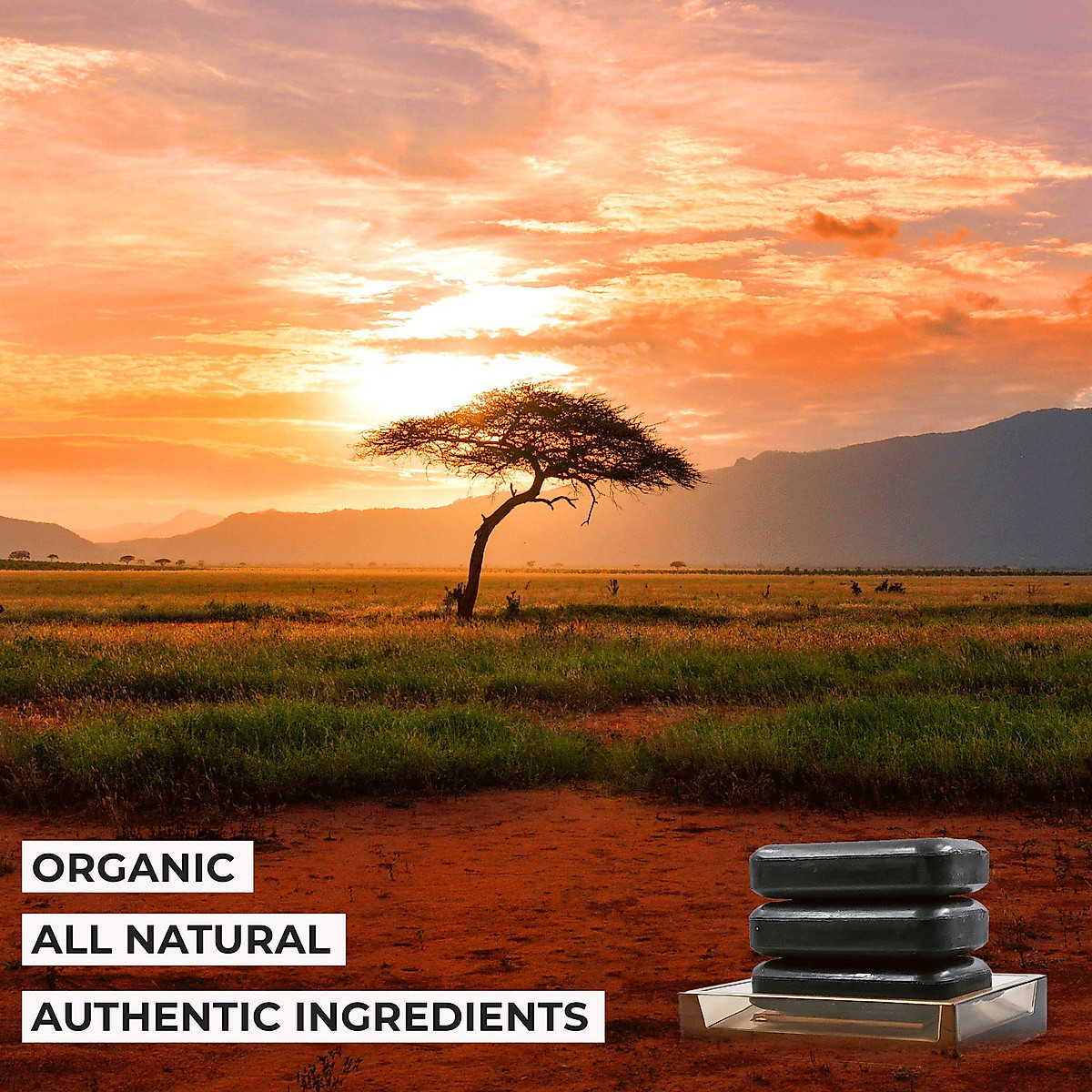 O NATURALS Organic African Black Soap Bar 3PC - Rich in African Shea Butter - Helps Acne Prone Skin - Natural Body Wash & Face Wash - Black African Soap - Natural Black Soap Bar for Women & Men