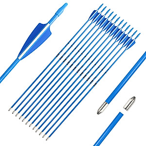 TIGER ARCHERY 28inch Archery Fiberglass Youth Arrows for Recurve Bows- Beginners Adult and Youth Kids Arrows Practice (Pack of 12) (Blue Bullet Tips)
