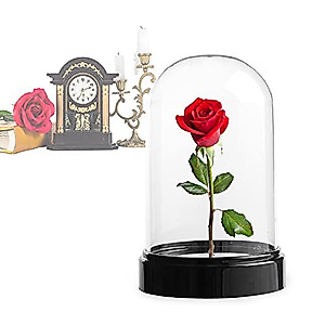 (12 Pack) Plastic Dome Display Case Bell Jar Cloche Bell Jar With Base, For Collectibles Enchanted Rose Small Beer Glasses Centerpieces Plants Rocks Specimens Snow Globes Crafts, Plastic 5.7x 3.6 In