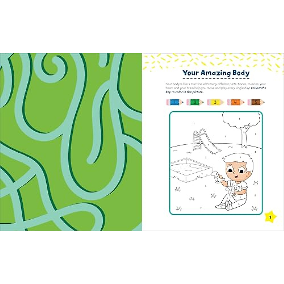 Human Body Preschool Activity Book: Hands-On Learning with Mazes, Coloring, and More!