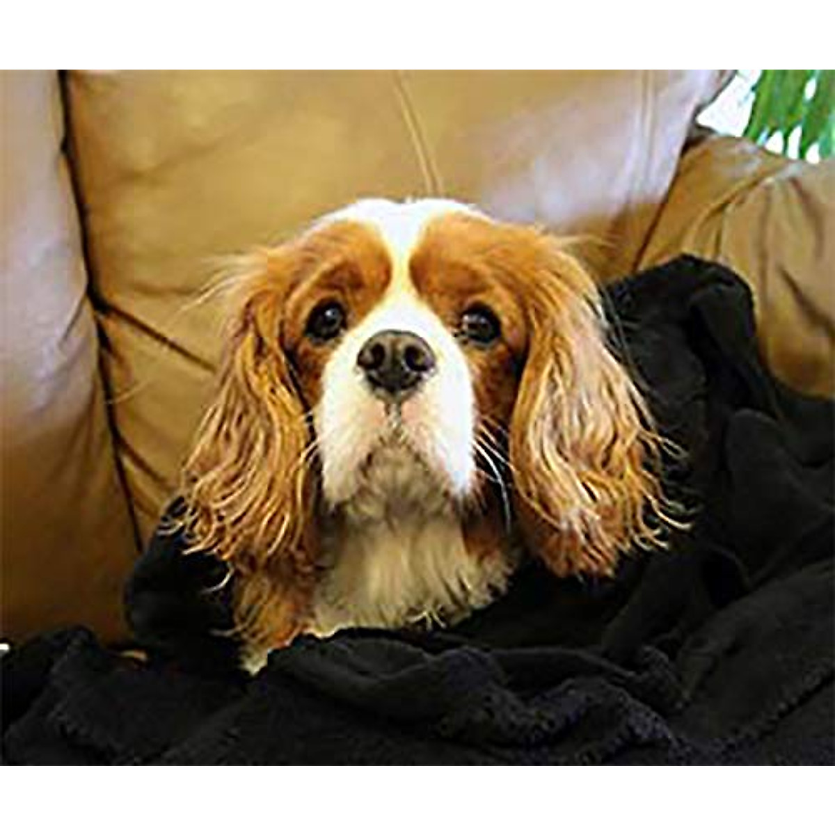 Threadart Personalized Embroidered Super Soft Ultra Plush Fleece Throw Blankets 50"x60" | Fuzzy Soft Cozy Microfiber Free Custom Embroidery Included Perfect for Gifts| Navy