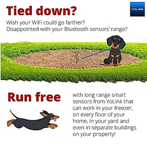 Smart Wireless Temperature / Humidity Sensor Wide Range (-22 to 158 degrees) for Freezer Fridge Monitoring Pet Cage/Tank Monitoring Smartphone Alerts, Works with Alexa IFTTT, 2 Pack - Hub Included