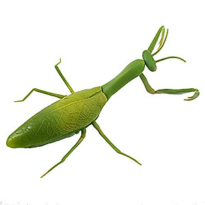 Tipmant RC Praying Mantis Toy IR Remote Control Animal Fake Car Vehicle Electric for Kids Birthday