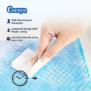 COCOYO Best Value Dog Training Pads, 22" by 22", 200 Count, BLUE