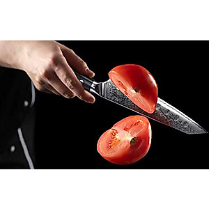 Oxford CHEF Kiritsuke Chef's Knife 8 Inch Damascus Japanese VG10 Super Steel 67 Layer High Carbon Stainless Steel