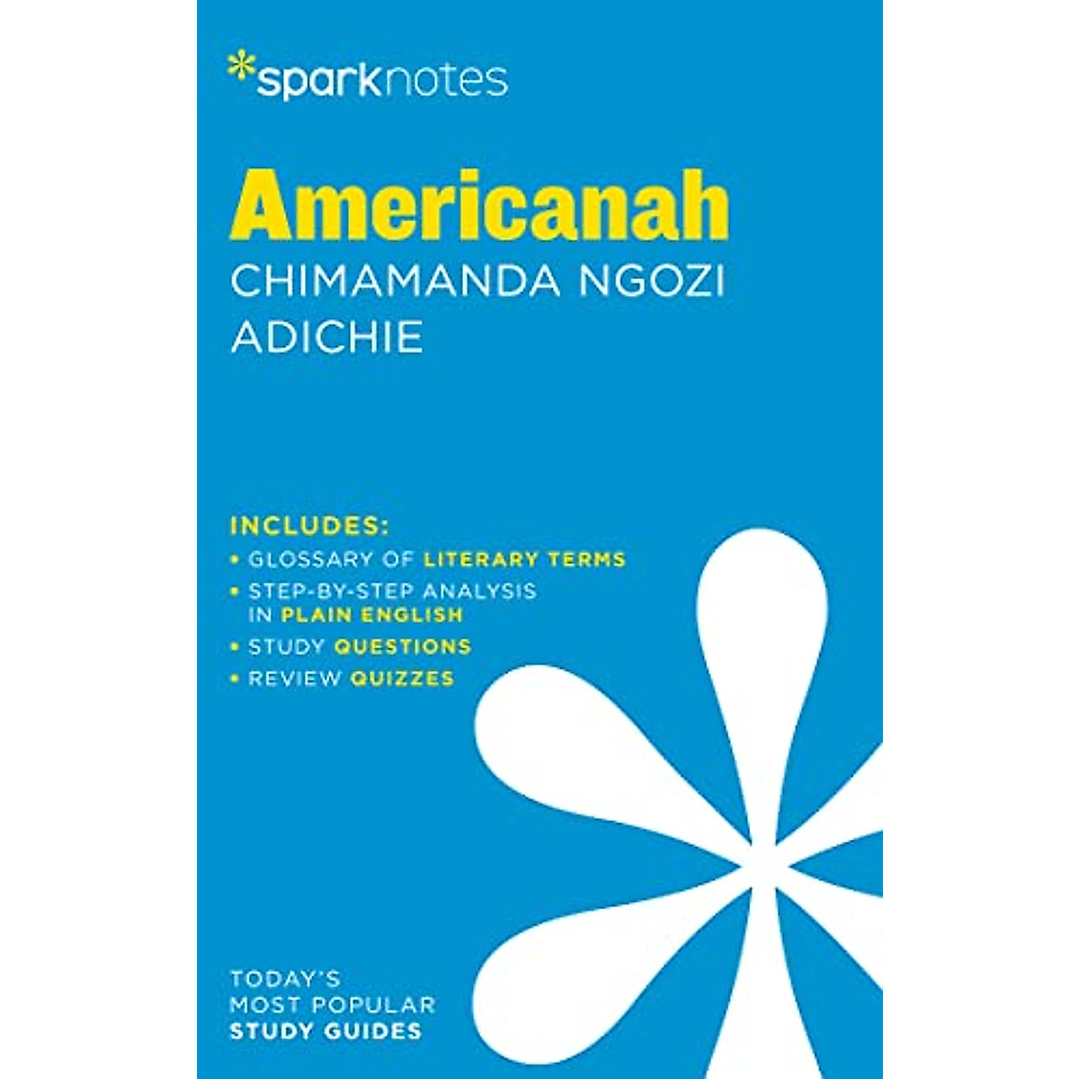 Americanah SparkNotes Literature Guide (SparkNotes Literature Guide Series)