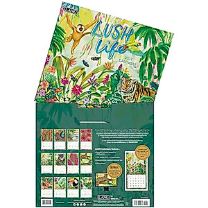 LANG Lush Life 2024 Wall Calendar (24991002024)