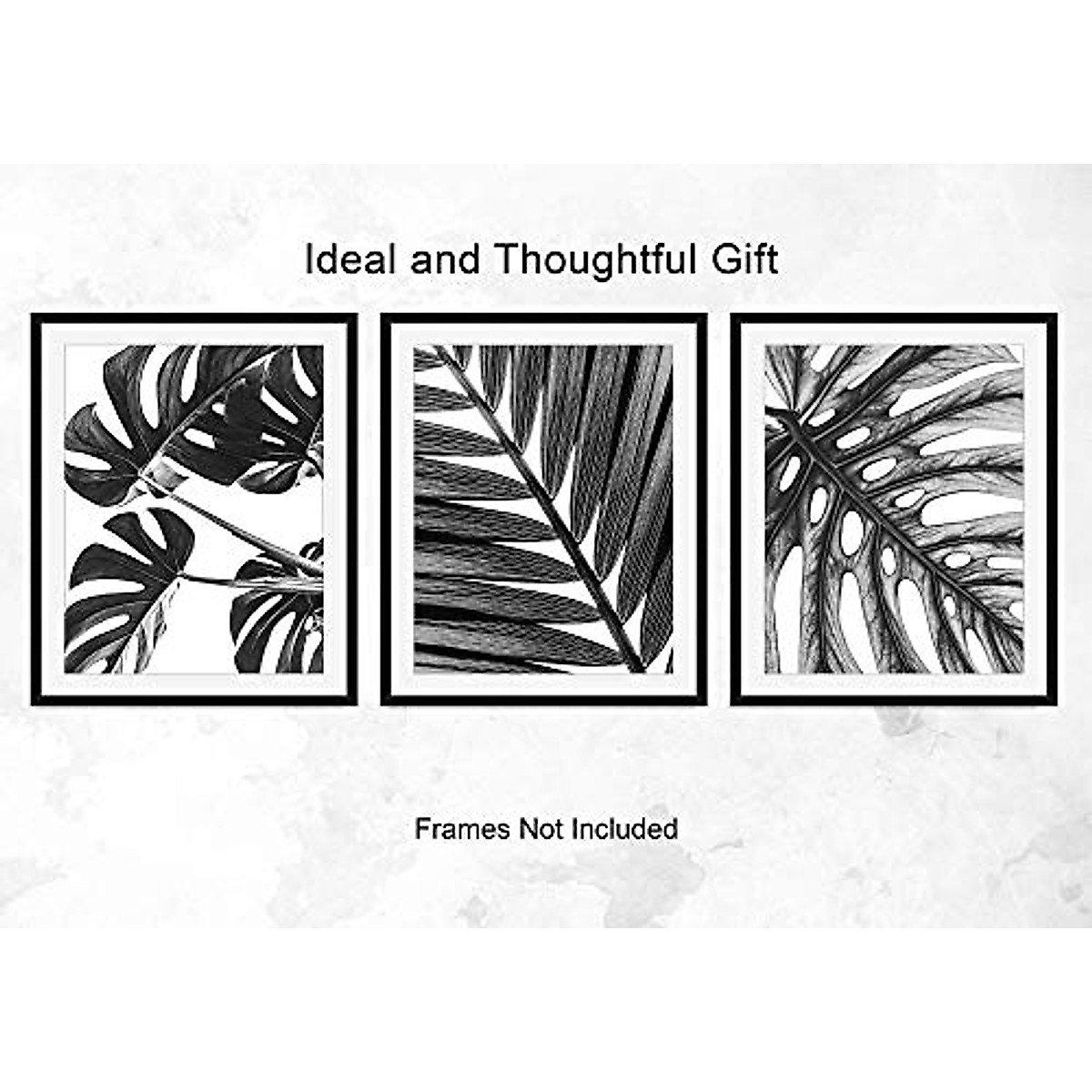 Grey Tropical Leaf Botanical Wall Art 3 Piece Print Set 8x10 Unframed Black and White Monstera and Palm Leaves for Bathroom, Bedroom Home Decor Idea