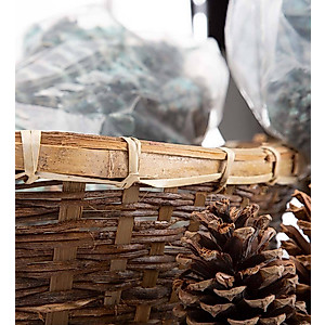 Plow & Hearth Fire Starter Basket with Fatwood, Color Cones and Wax Cones