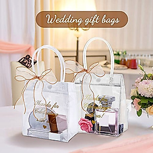 50 Pcs Clear Plastic Gift Bags with Handle Transparent PVC Plastic Gift Wrap Tote Bag Wedding Gift Bags Reusable Small Clear Gift Bags for Shopping Birthday Wedding Party Favor (6 x 5.1 x 2.8 Inch)