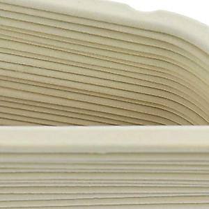 Elama 100 Piece Set of Velvet Slim Profile Heavy Duty Felt Hangers with Stainless Steel Swivel Hooks in Cream