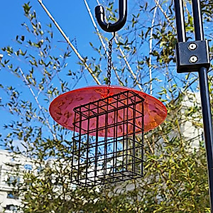 Suet Bird Feeders for Outside Hanging - Pack of 2 pcs x Single Suet Cake Capacity Basket/Cage for Feeding Wild Birds Outdoors/Backyard/Garden