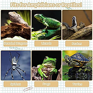 kathson 4PCS Cork Tile Background Bark 11.6”Lx7.7”W Terrarium Backdrop Wall Decor Natural Reptile Climbing Mat Habitat Decor for Spider Gecko Lizard Chameleon Bearded Dragon Turtle Snake