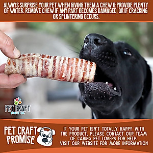 Pet Craft Supply All Natural Healthy Buffalo Trachea Bones Dog Chews Treats for Aggressive Chewers Long Lasting Rawhide Free Premium Slow Roasted for Puppies Small Medium Large Dogs 6 Pack