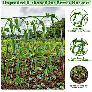 Tetutor Cucumber Trellis for Raised Bed 65"×48", Garden Arch Trellis for Climbing Plants Outdoor, Metal Garden Trellis for Vegetables, Cucumber Trellis for Tomato, Bean, Pea, Grape, Plant, Squash