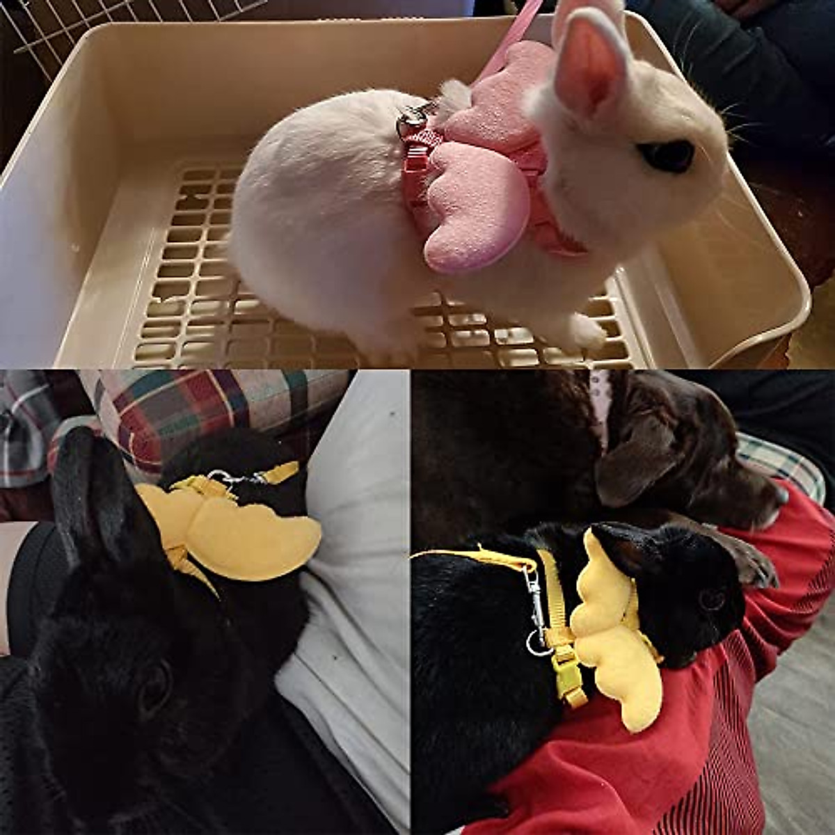 ROZJOVU Rabbit Harness and Leash, Adjustable Bunny Harness, Cute Bunny Collar Leash for Jogging Pet Bunny Supplies Accessories Harness and Leash Set for Adult Guinea Pig,Ferret,Small Pet Animals