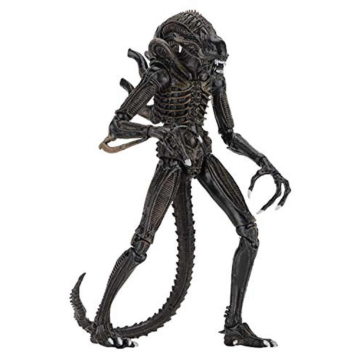 NECA - Alien- 7" Scale Action Figures - Ultimate Warrior - (1986) Brown Alien