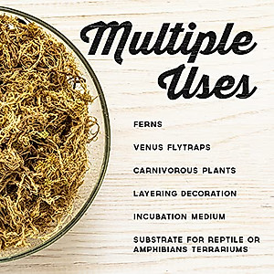 Carnivorous Plant Soil - Long Fibered Sphagnum Moss - 2 Quarts - New Zealand Grade - for Potting Venus Fly Traps, Sarracenia, Pitcher Plants, and Other Carnivorous Plants