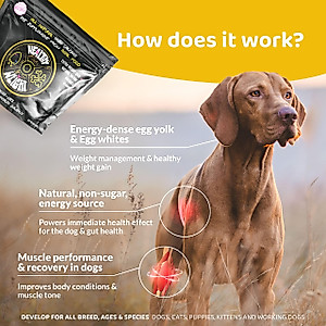 ROGUE PET SCIENCE Healthy Weight - Natural Weight Gainer for Dogs - High Calorie Tasty Dog Food & Cat Food Topper - Supports Weight Gain, Gut Health & Digestion - Helps Provide Natural Energy (2 lbs)