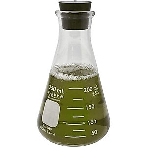 Corning Pyrex #4980-250, 250ml Narrow Mouth Erlenmeyer Flask with Rubber Stopper (Single)