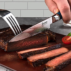 SENKEN Damascus Steak Knife Set - Tsunami Collection - 67-Layer Japanese VG10 Steel - Razor Sharp Serrated Blades, Blue Resin & Natural Wood Pattern Handles, Luxury Gift Box (6 Steak Knife Set)