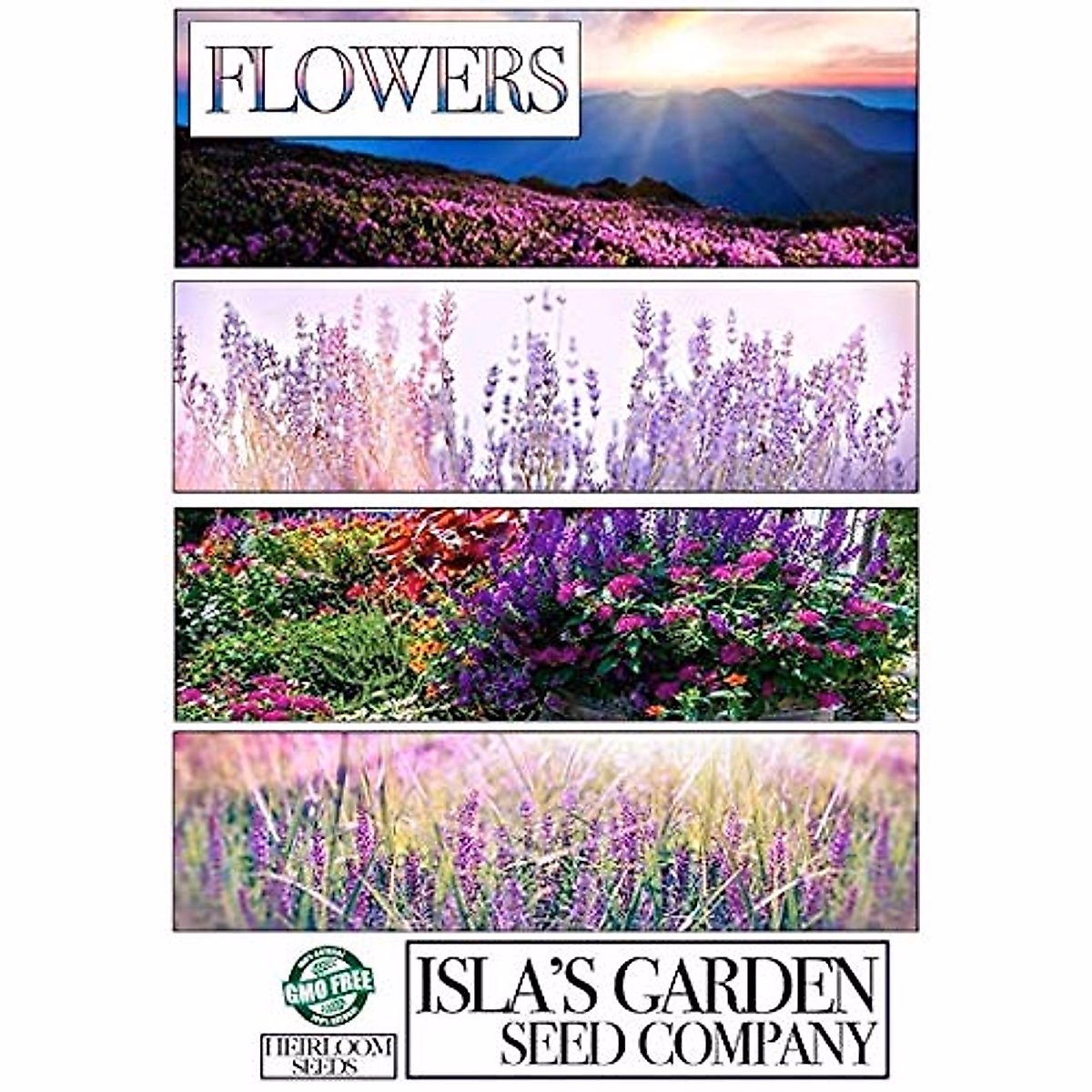 "Sensation Mix" Cosmos Flower Seeds for Planting, 100+ Seeds Per Packet, (Isla's Garden Seeds), Non GMO & Heirloom Seeds, Scientific Name: Cosmos bipinnatus, Great Home Flower Garden Gift