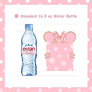 Cartoon Mouse Photo Banner Pink and Gold Newborn to 12 Month Birthday Banner for Cartoon Mouse Themed 1st Birthday Decorations Supplies