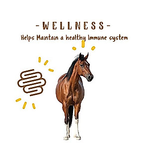 Manna Pro Simply Flax for Horses | Omega-3 Fatty Acids from Flaxseed | 8 Pounds