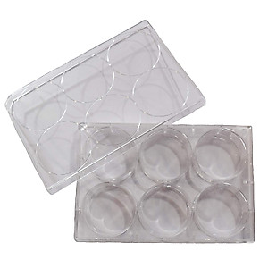 ADVANGENE 6 Well Non-Treated Sterile Flat Tissue Culture Plate with lid (50/Case)