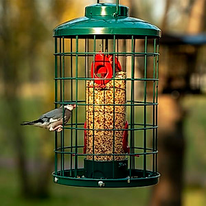 Mosloly Caged Bird Feeder for Wild Birds Outside, Large Squirrel-Proof Heavy-Duty Metal Hanging Tube Bird Feeder, 4 Feeding Ports, 13.2'' High, 3LB Seed Capacity (Green)