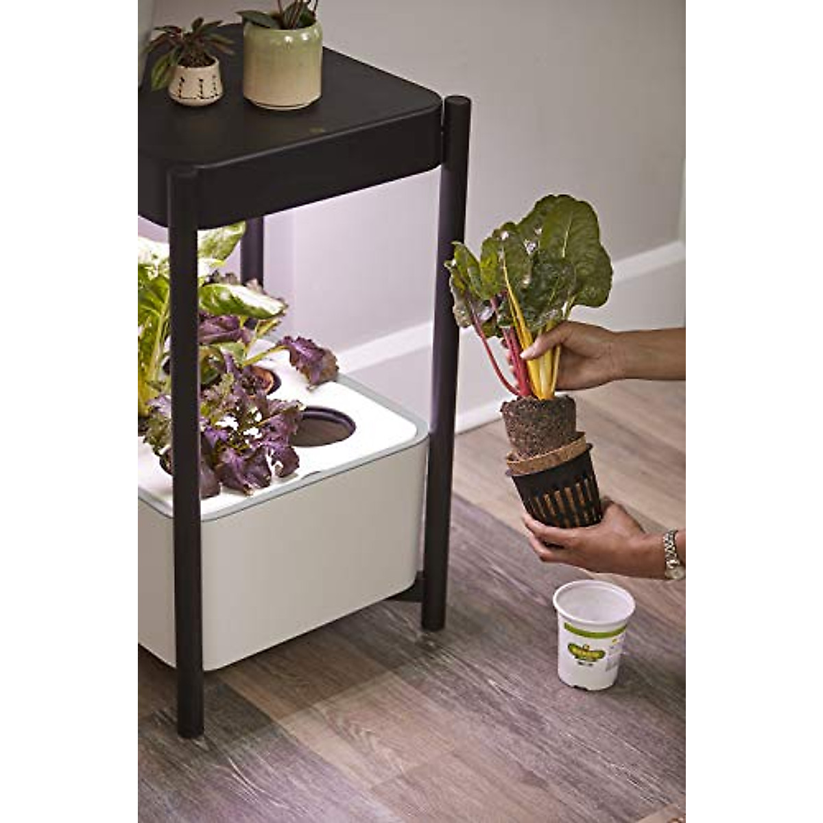 Miracle-Gro Twelve Transplanting Kit, Includes 4 Coir Liners and 4 Large Net Cups - Use Twelve Indoor Growing System - Designed for Growing Plants in Hydroponic Systems (Pack of 2)