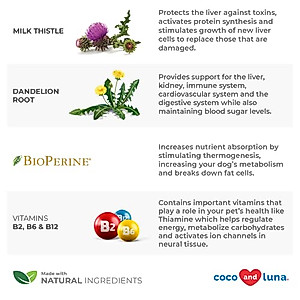 Milk Thistle for Cats, Liver Support for Cats, Detox, Hepatic Support, Promotes Liver Healthy Function for Pets, Kidney Support