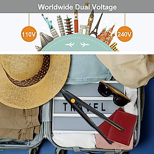 Terviiix Small Flat Iron for Short Hair, Temperature Adjustable Pencil Flat Iron Fast Heat Up, 3/10 Inch Beard Straightening Iron Dual Voltage with Tourmaline Ceramic Plates, Auto Shut Off