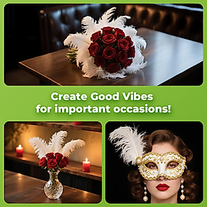 Piokio 20 pcs White Ostrich Feathers Plumes 10-12 inch(25-30 cm) Bulk for DIY Christmas Decorations, Wedding Party Centerpieces, Gatsby Decorations