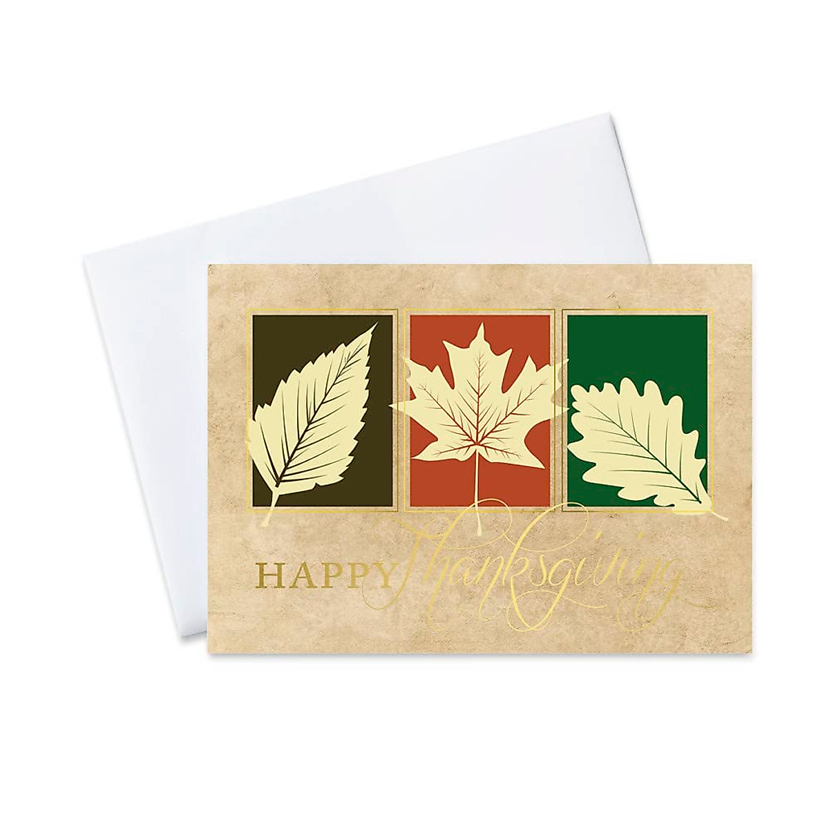 CEO Cards - Foil Stamped Thanksgiving Greeting Cards (Gold Border Leaves), 5.625x7.875 Inches, 25 Cards & 26 White with Gold Foil Lined Envelopes (TH1801)