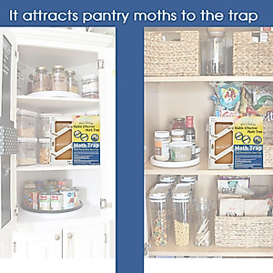 Effective Dual Moth Traps for Clothes and Pantry - Safe and Odor-Free Solution - Premium Pheromone - Pack of 4