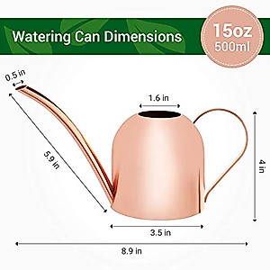 MOnu Small Metal Watering Can - Cute Mini Indoor Decorative Watering Pot for Desk Office House Plants Orchids Herbs Bonsai Succulents - Gardening Tool Sprinkler with Long Spout - 15oz/500ml Rose Gold
