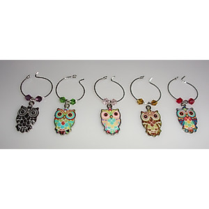 Wine Charms ~ Multi Color Owl Wine Charms Set of 5 Style 1
