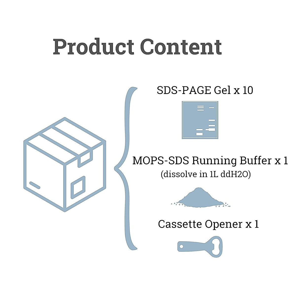 Pre-Casted Protein Gel (HG-Page™) (4-20%, 12 Well)