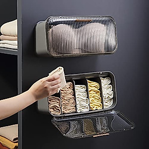 YLNAPUOPJIA Socks Underwear Panties Organizer Box, Household Anti Dust Closet Wall-mounted Organization Storage Box, Organizers Boxes for Storing Socks,Underwear, Panties