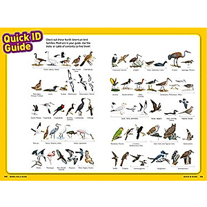 Ultimate Explorer Field Guide: Birds