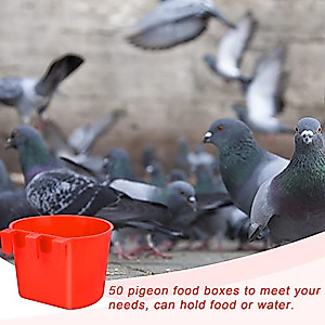 50 Pieces Cage Cups Plastic Hanging Bird Feeding Cups Universal Cage Cups Birds Feeders Seed Bowl Chicken Feeding Watering Dish with Hooks for Pet Pigeon Parrot Parakeet Poultry (Red)