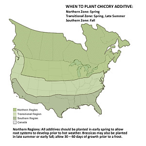 BioLogic Chicory Additive Feeder, 1-Pound