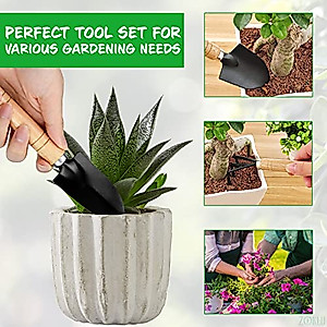 Hand Shovel for Gardening Trowel Garden Tool - 3Pcs Gardening Set of Tools Small Garden Rake Ergonomic Garden Hand Tools Wood Handle Gardening Tool 3 Piece - Gardening Tools Heavy Duty Garden Tool Set