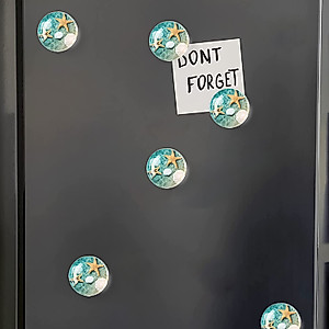 Medium Refrigerator Magnets Funny-Cute Fridge Magnet Beach Starfish and Seashell-6 Pieces Glass Refrigerator Magnet Round Decorative Magnets for Whiteboard Photo Office Locker