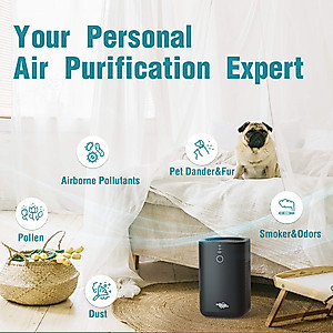 Membrane Solutions Air Purifier for Home Bedroom with H13 True HEPA Filter, Eliminate Allergies, Smoke, 99.97% Pollen Dust Pets Dander and Odors, 24dB Ultra Quiet Desktop Air Cleaners Office,Black 2J8